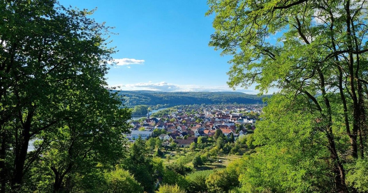 Ortsverband Erlenbach - Vorstand - Sozialverband VdK Bayern e.V.